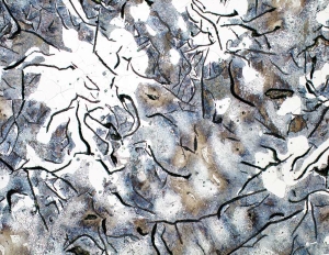 Damages under the microscope | AGCS