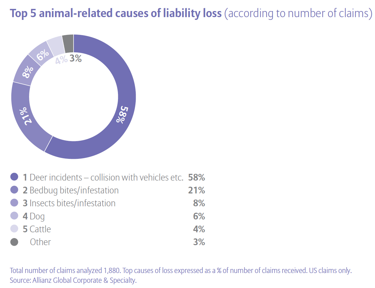 Unusual liability claims